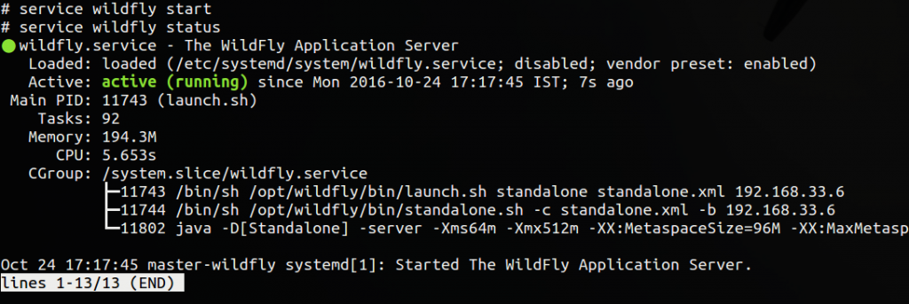 Introduction to Wildfly | TO THE NEW Blog