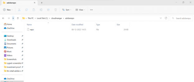 Step by Step Tutorial on Setting up AEM Repo tool for Syncing AEM with ...