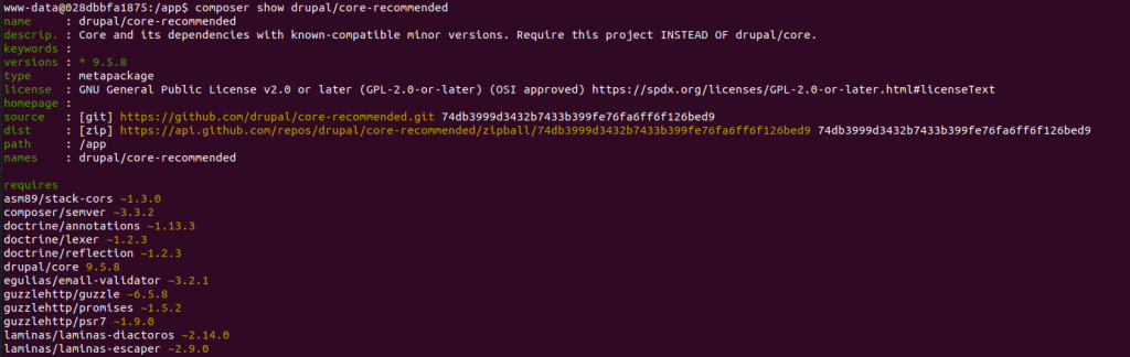 How To Update Drupal Core With Composer To The New Blog