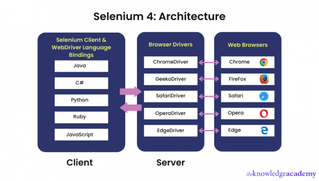 Comparing Selenium 3 and Selenium 4: A Comprehensive Analysis | TO THE NEW Blog