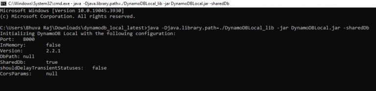 Setting Up Amazon DynamoDB Locally: A Comprehensive Guide | TO THE NEW Blog