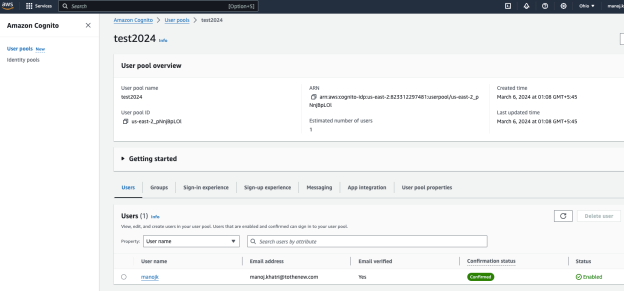 Basic Authentication using AWS Cognito for beginners | TO THE NEW Blog
