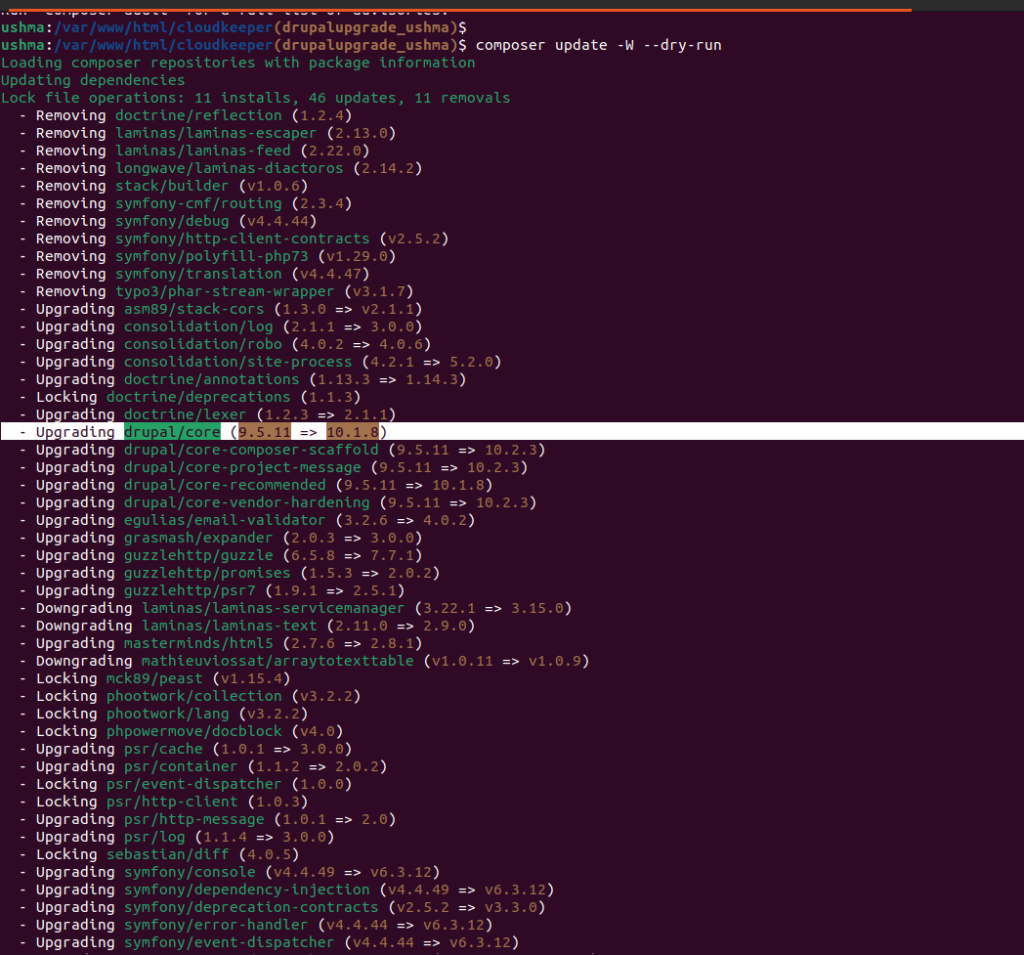 Step By Step Guide To Upgrade Drupal 9 To Drupal 10 To The New Blog