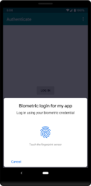 Biometric Authentication in Android Using BiometricManager | TO THE NEW Blog