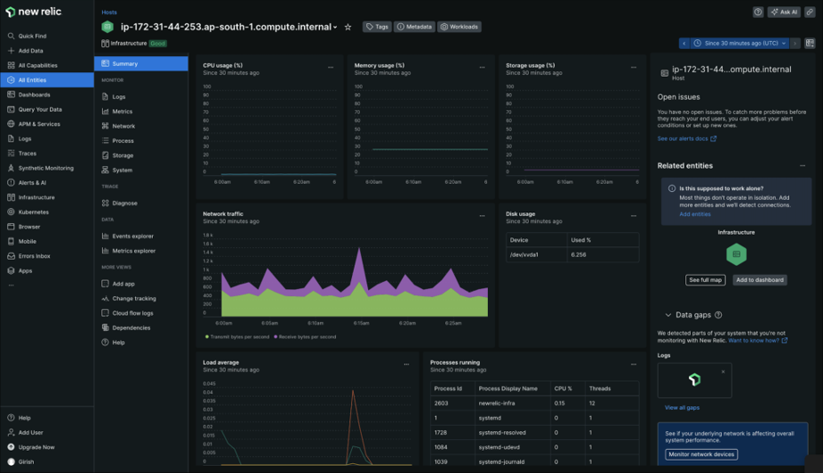 Setting Up a Custom Web Page for monitoring using New Relic API and ...